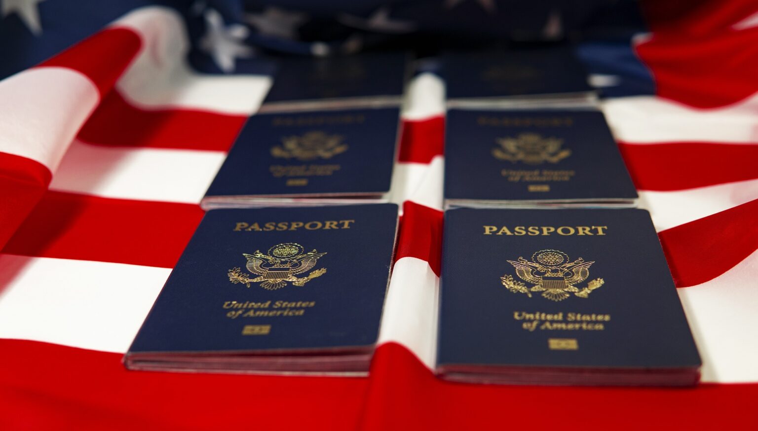 2024 US Immigration System Guide: Policies, Procedures & Updates